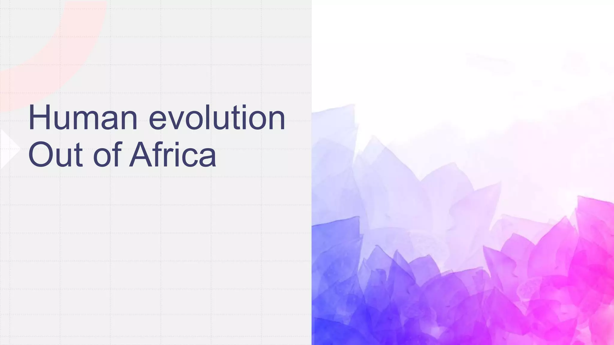 Human evolution Out of Africa.pptx