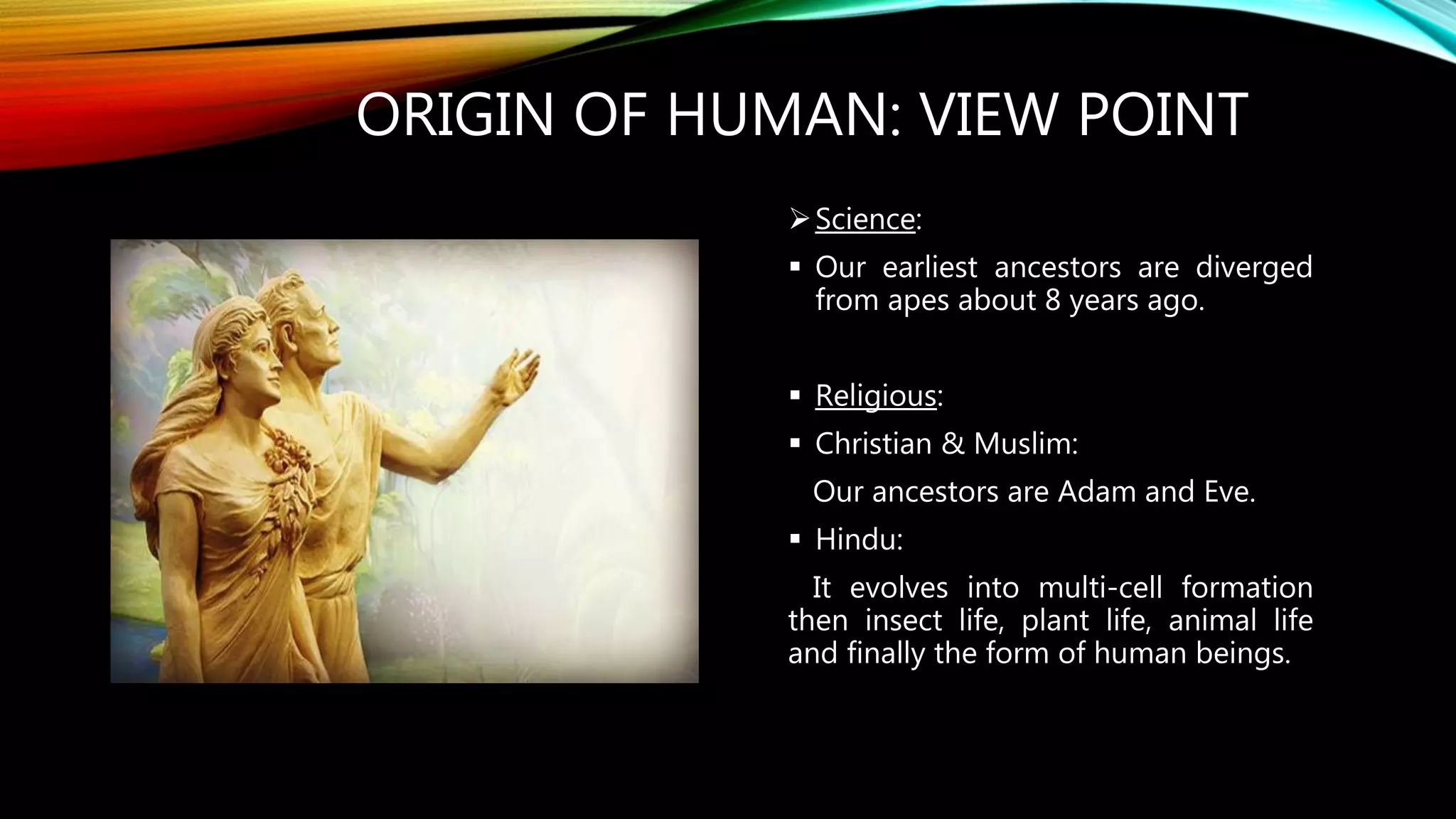 Human Evolution | PPT