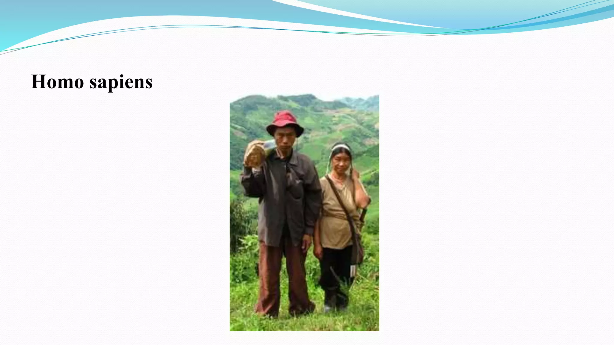 Evolution of Homo sepiens | PPTX