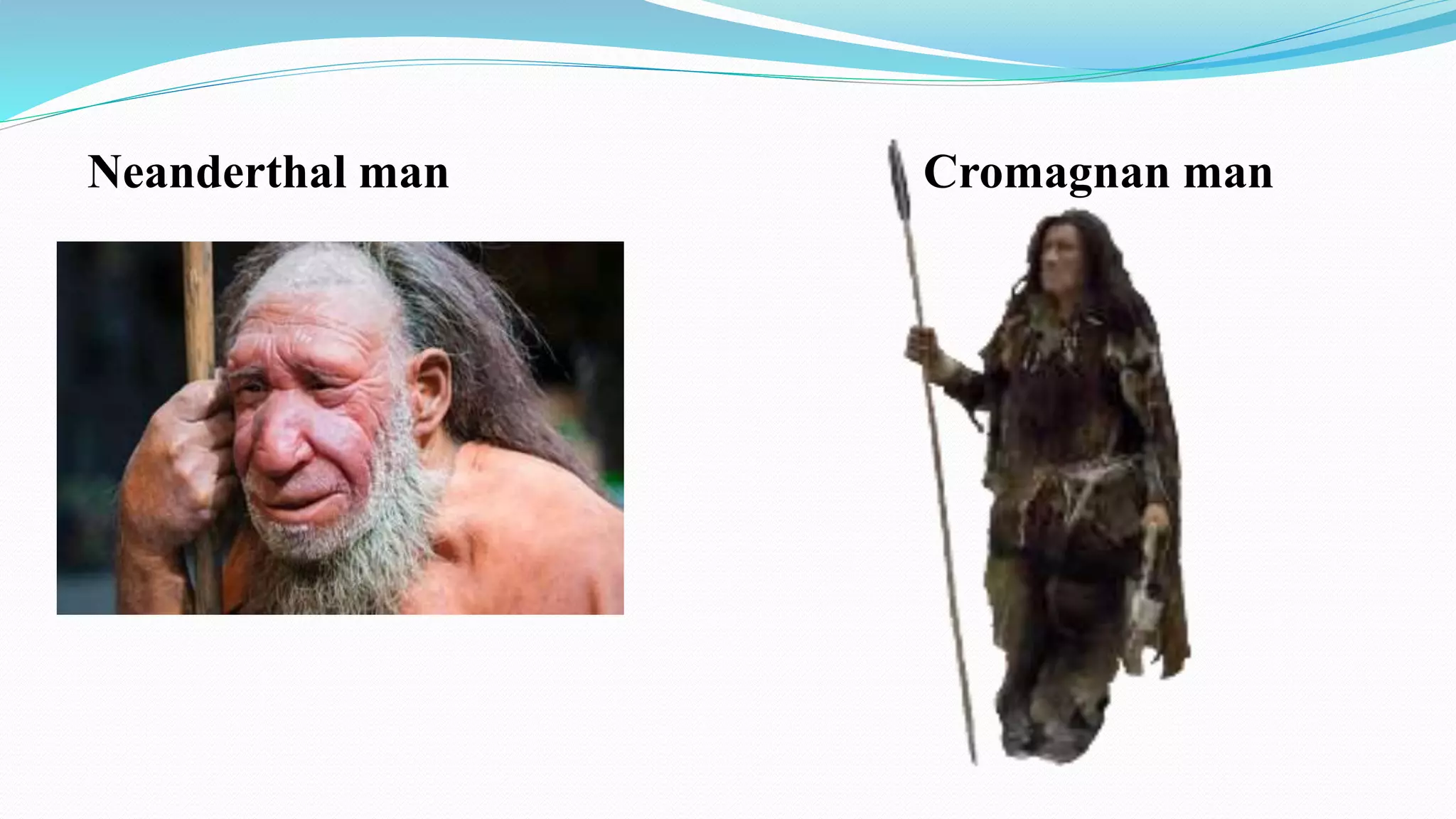 Evolution of Homo sepiens | PPTX