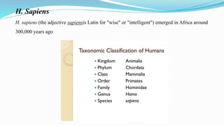 Evolution of Homo sepiens | PPTX
