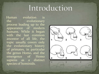 4TN- HIST- Human evolution & The Big Bang theory | PPTX