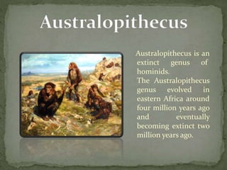 4TN- HIST- Human evolution & The Big Bang theory | PPTX