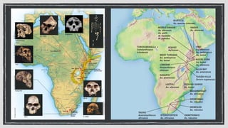 Galing ba tayo sa unggoy? An Overview of Human Evolution | PDF