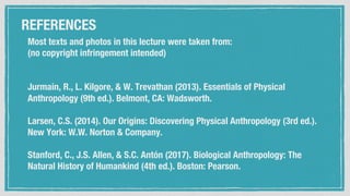 Galing ba tayo sa unggoy? An Overview of Human Evolution | PDF