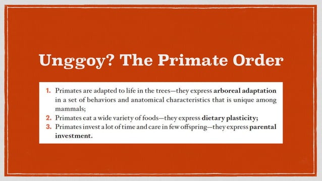 Galing ba tayo sa unggoy? An Overview of Human Evolution | PDF | Genetics | Science