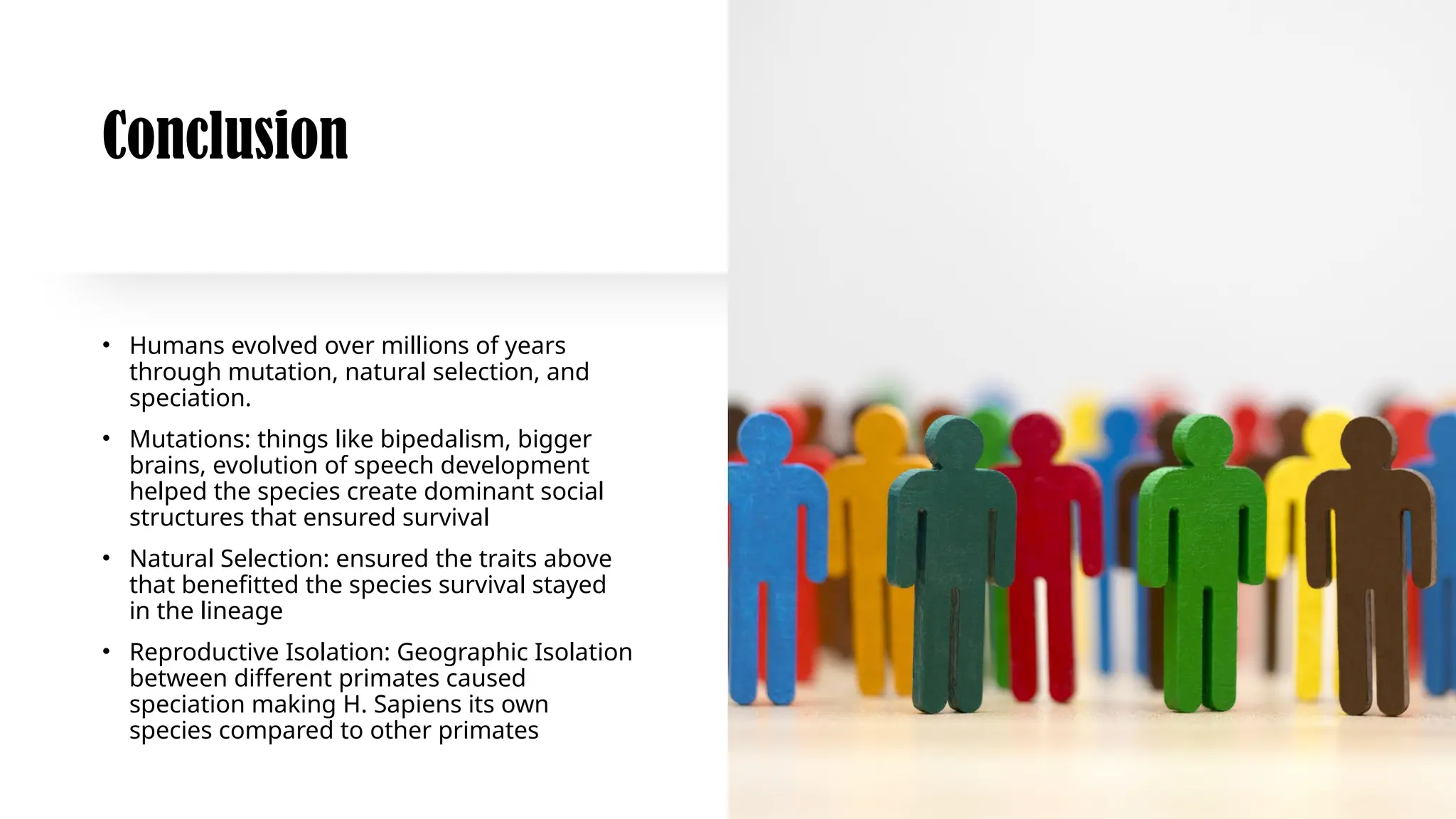 Human Evolution Powerpoint for Science Classes | PPTX