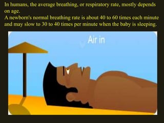 RESPIRATORY SYSTEM IN HUMANS | PPTX