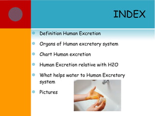 Human excretion with h2 o | PPT