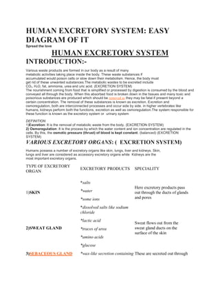 HUMAN EXCRETORY.pdf