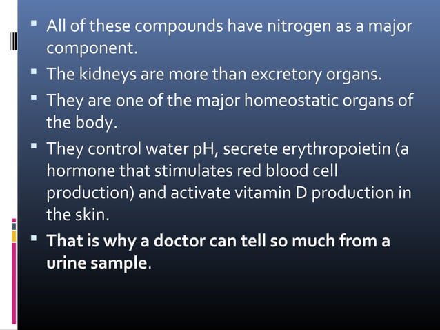 Human excretory system | PPT