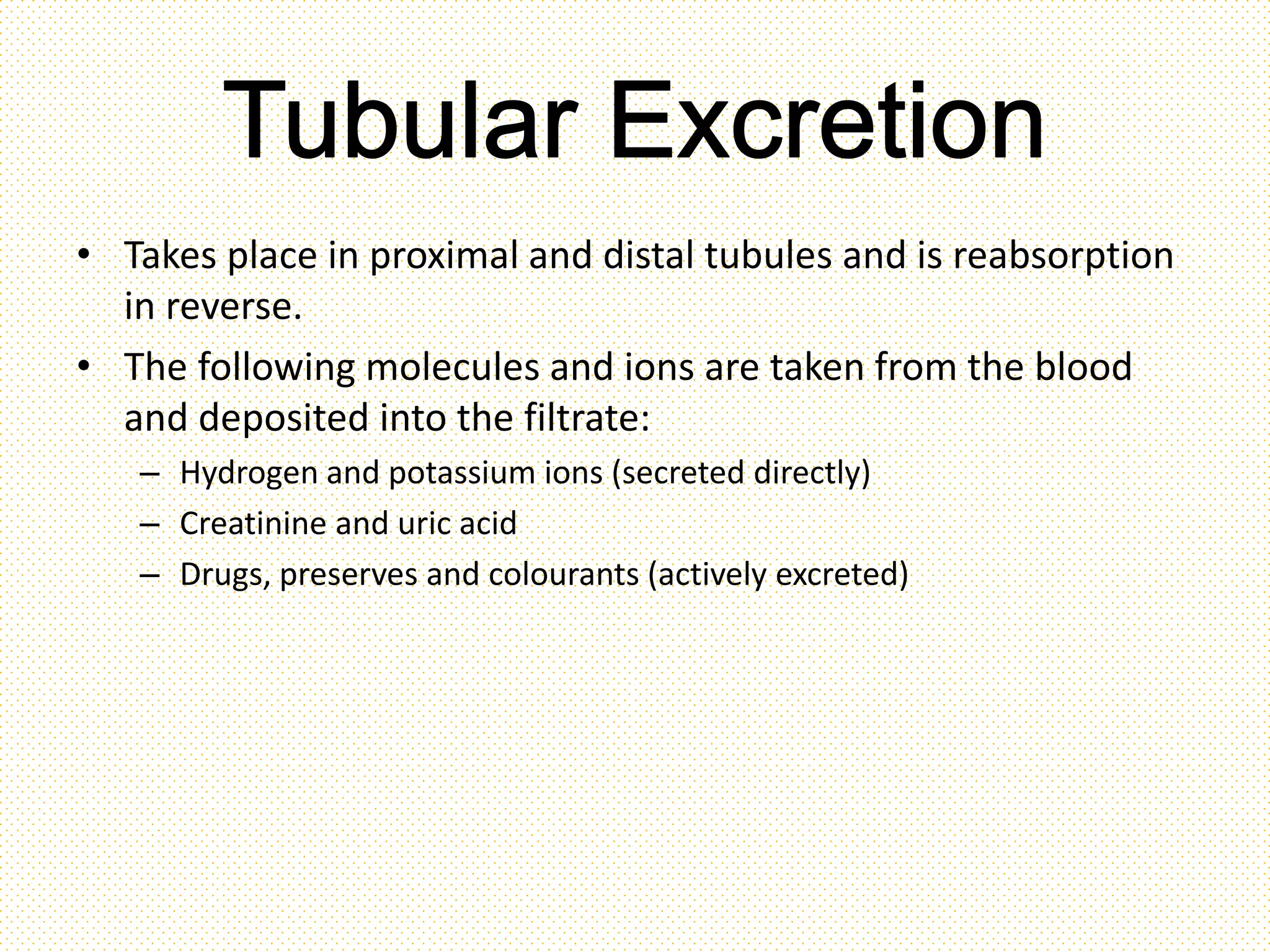 Human excretory system for Nurses Class 1.pptx