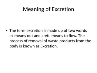 Human excretory system | PPTX