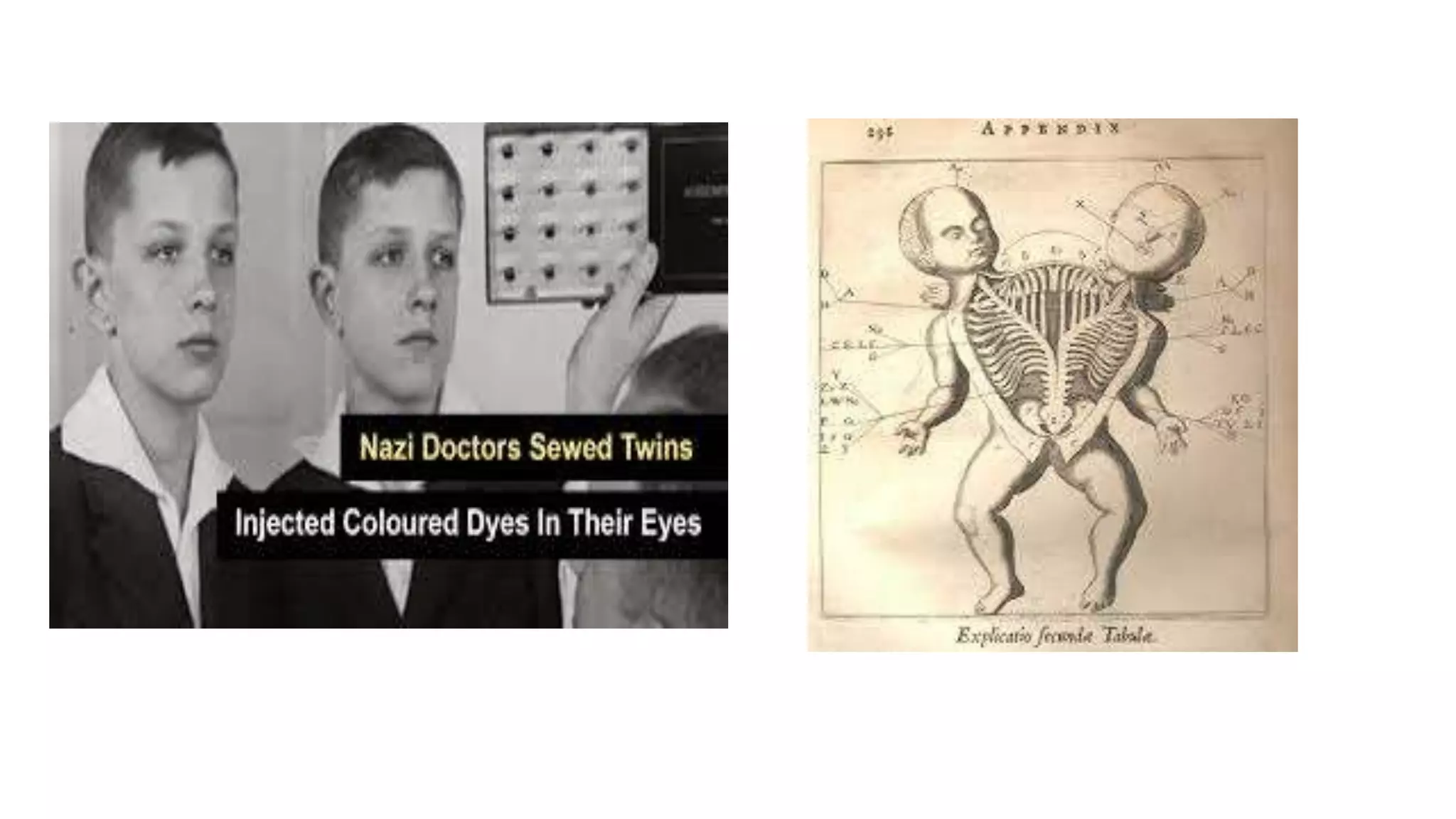 Human experimentation | PPTX