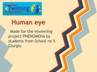 Human eye | PPT | Science
