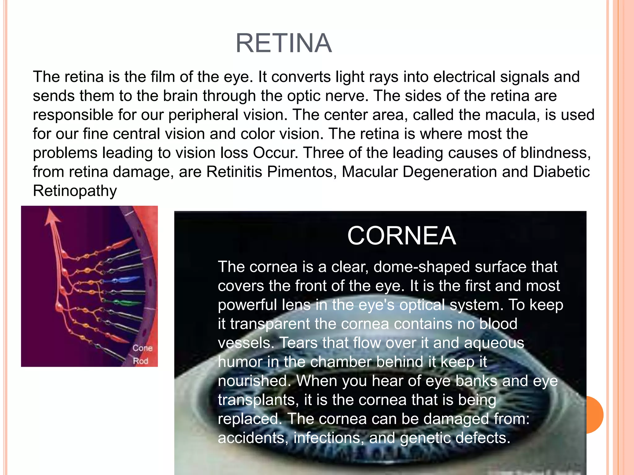 Human eye care and defects | PPTX