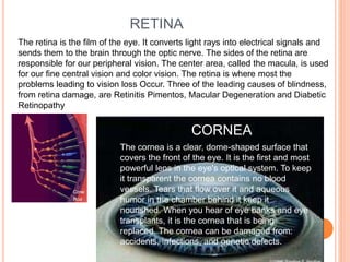 Human eye care and defects | PPTX
