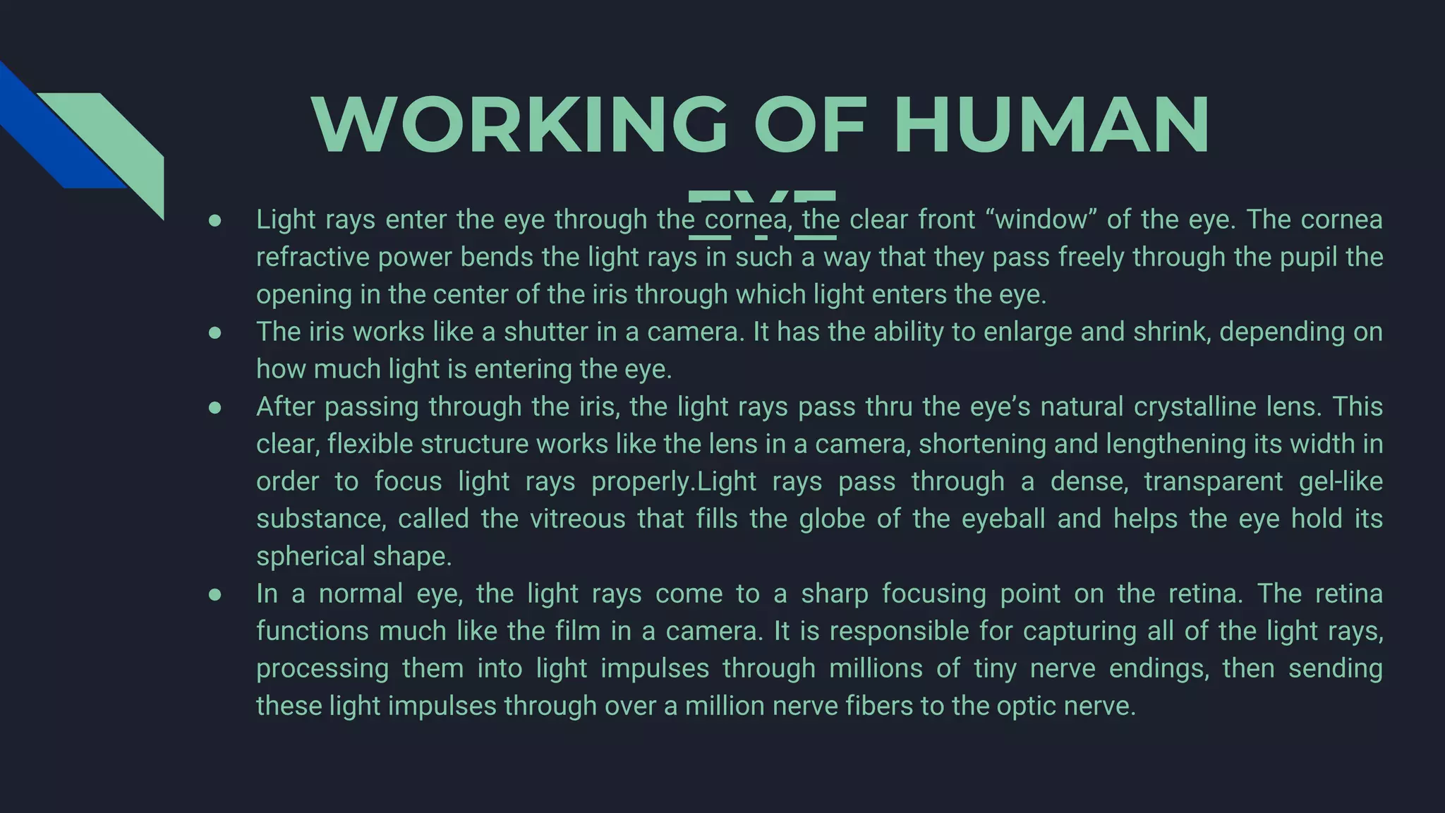 Human eye | PPT | Free Download