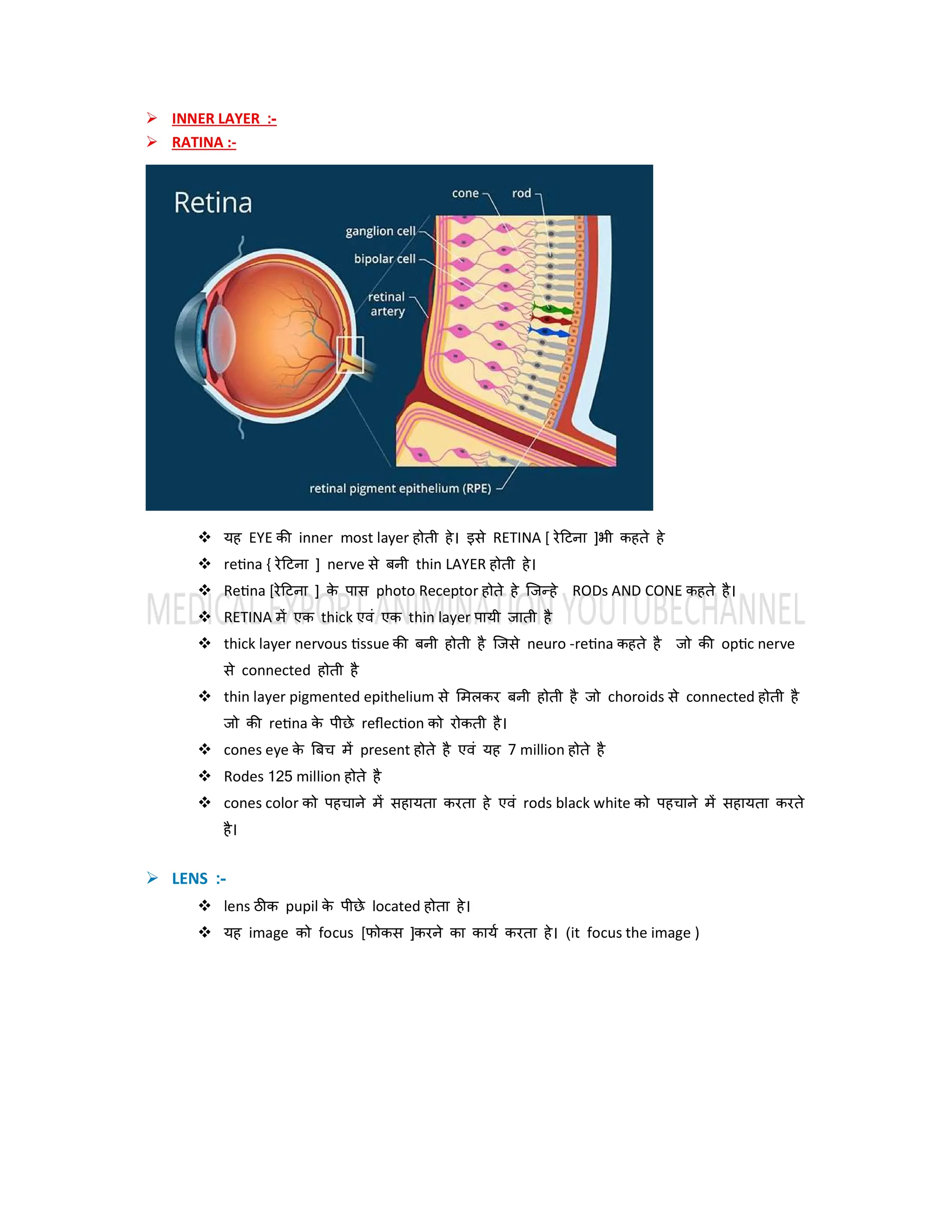 HUMAN EYE anatomy and physiology PDF | PDF
