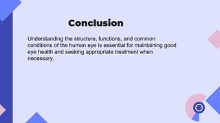Understanding the Human Eye: A Comprehensive Overview | PPTX