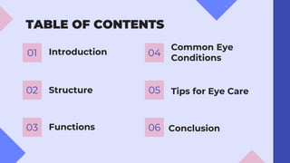 Understanding the Human Eye: A Comprehensive Overview | PPTX