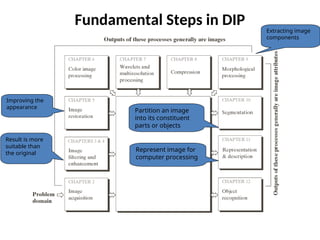 Lecture_4_Human_eye_Digital_Image_Processing.ppt