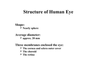Lecture_4_Human_eye_Digital_Image_Processing.ppt