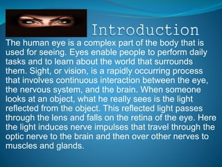 Human eye | PPT