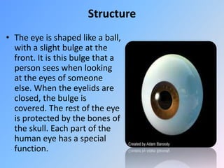 Human eye | PPTX