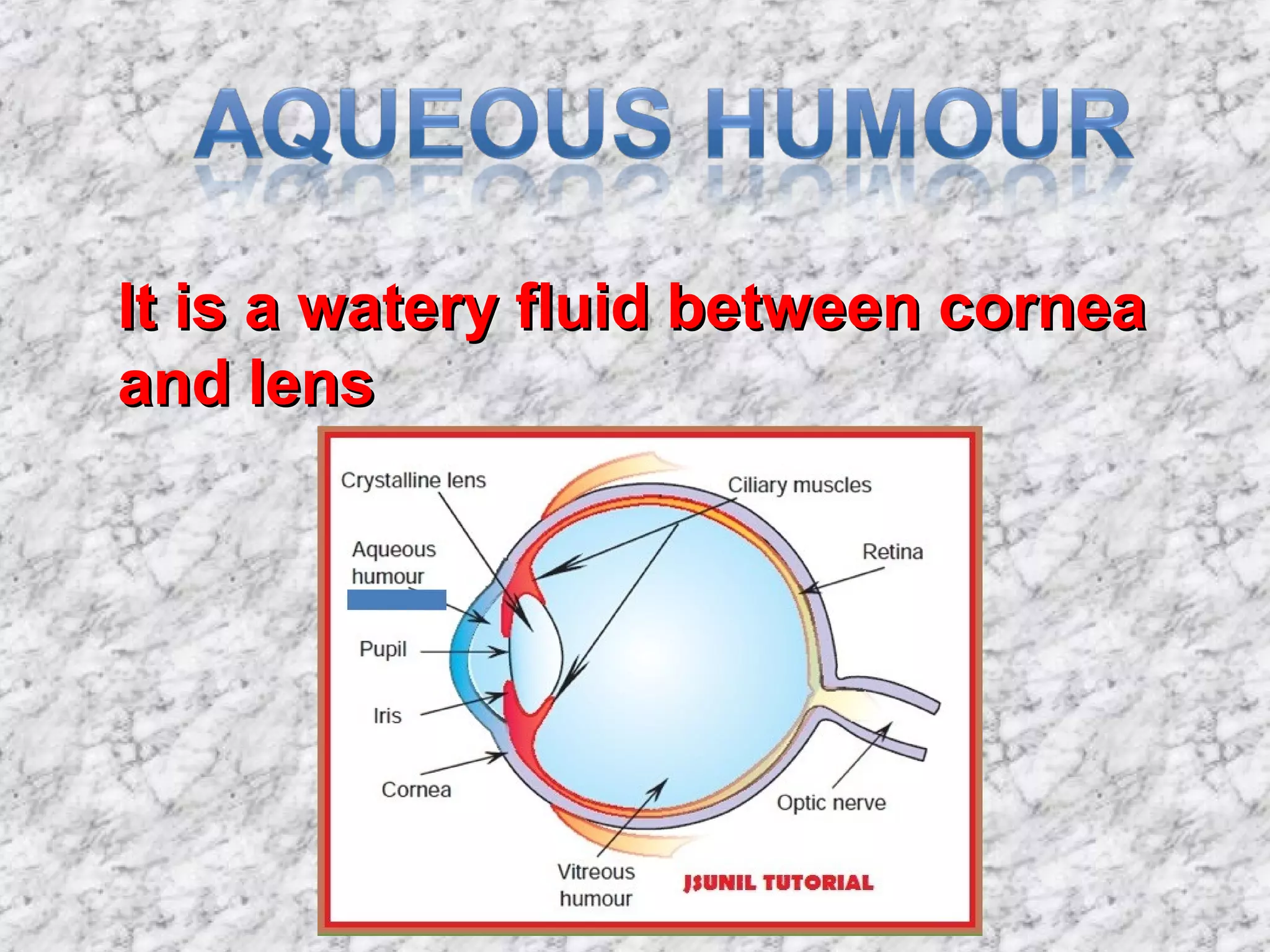 Human eye class 10 | PPT
