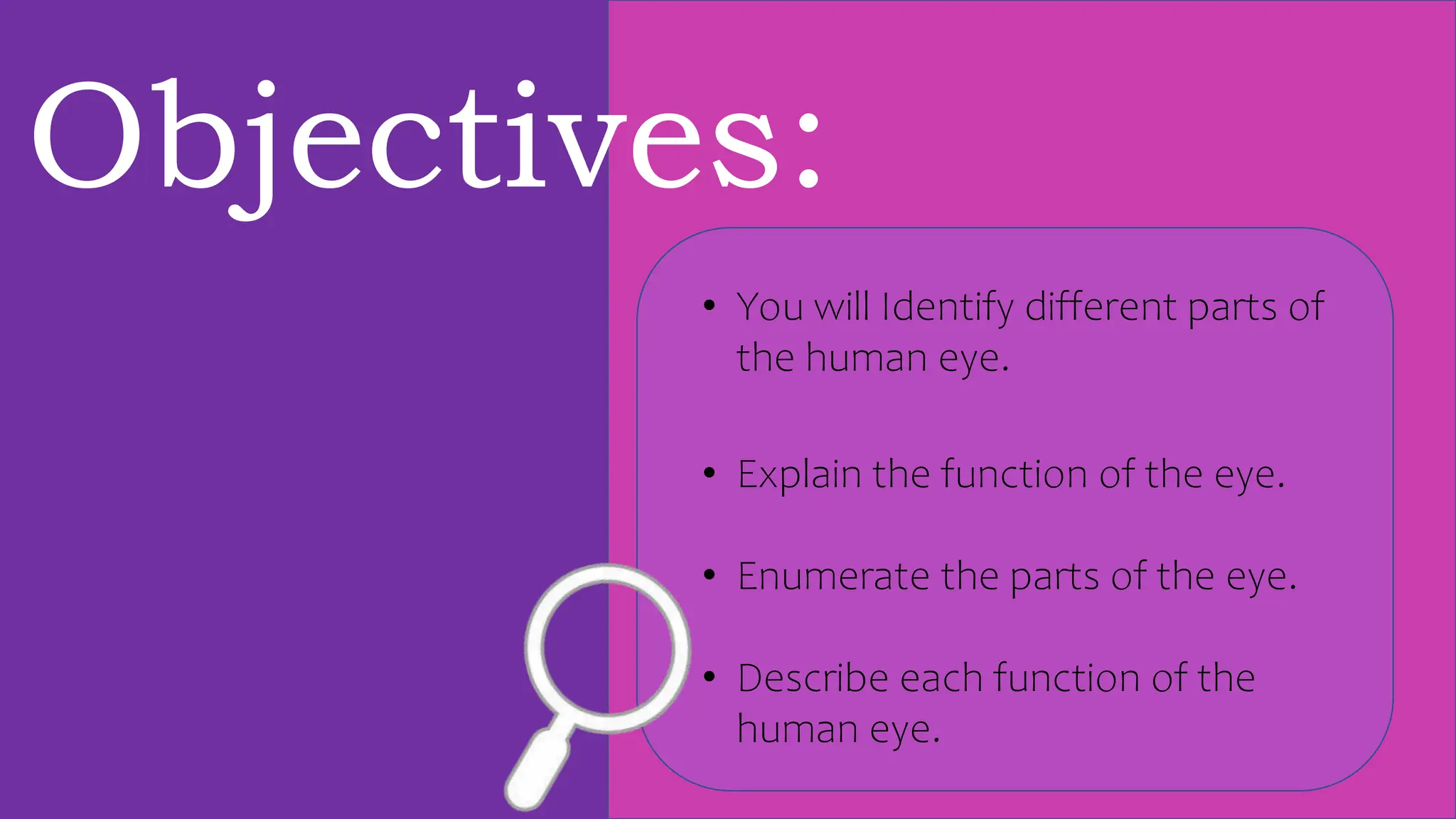 Human Eye Anatomypart 2pptx