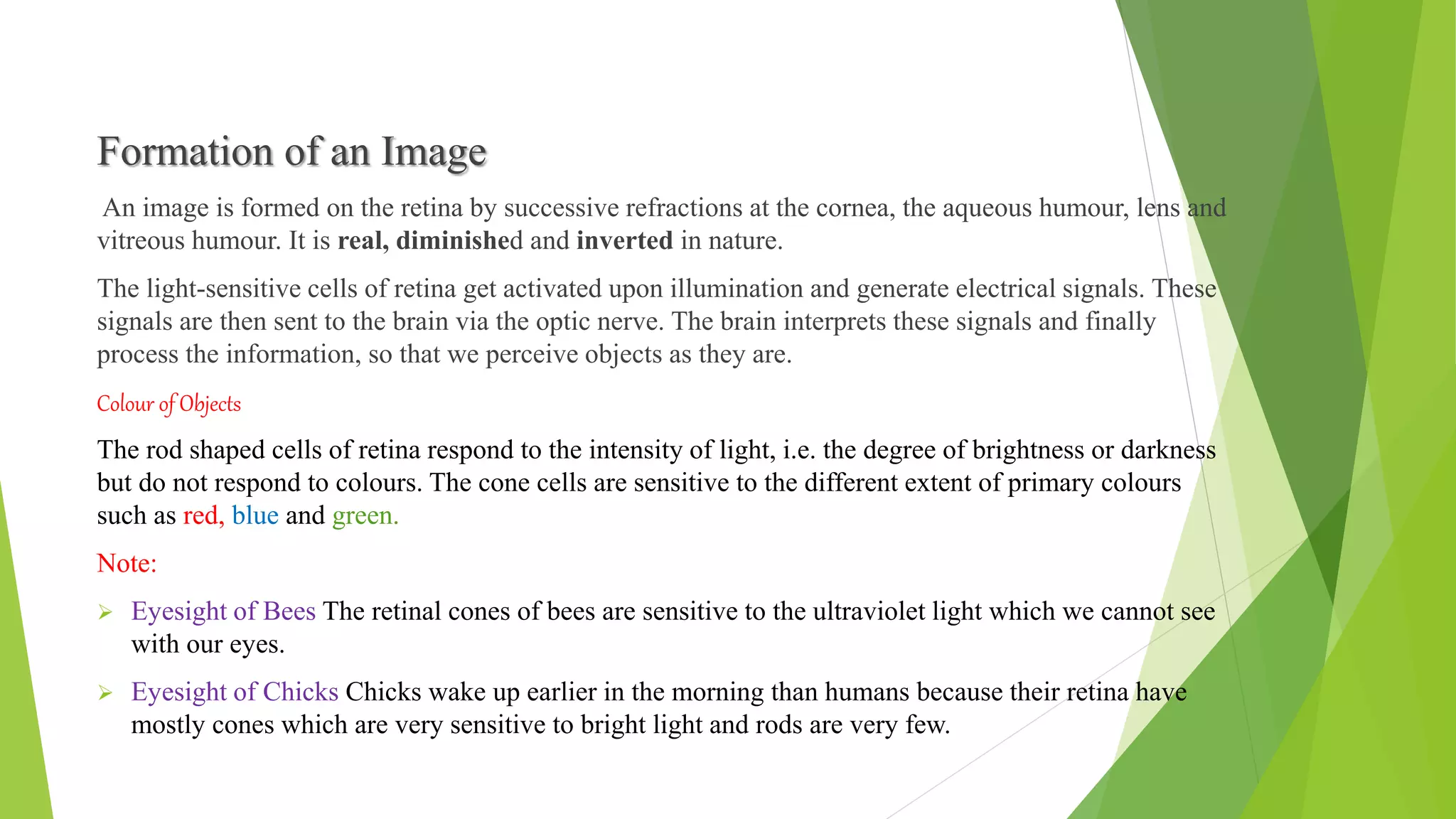 Human eye and colourful world | PPTX