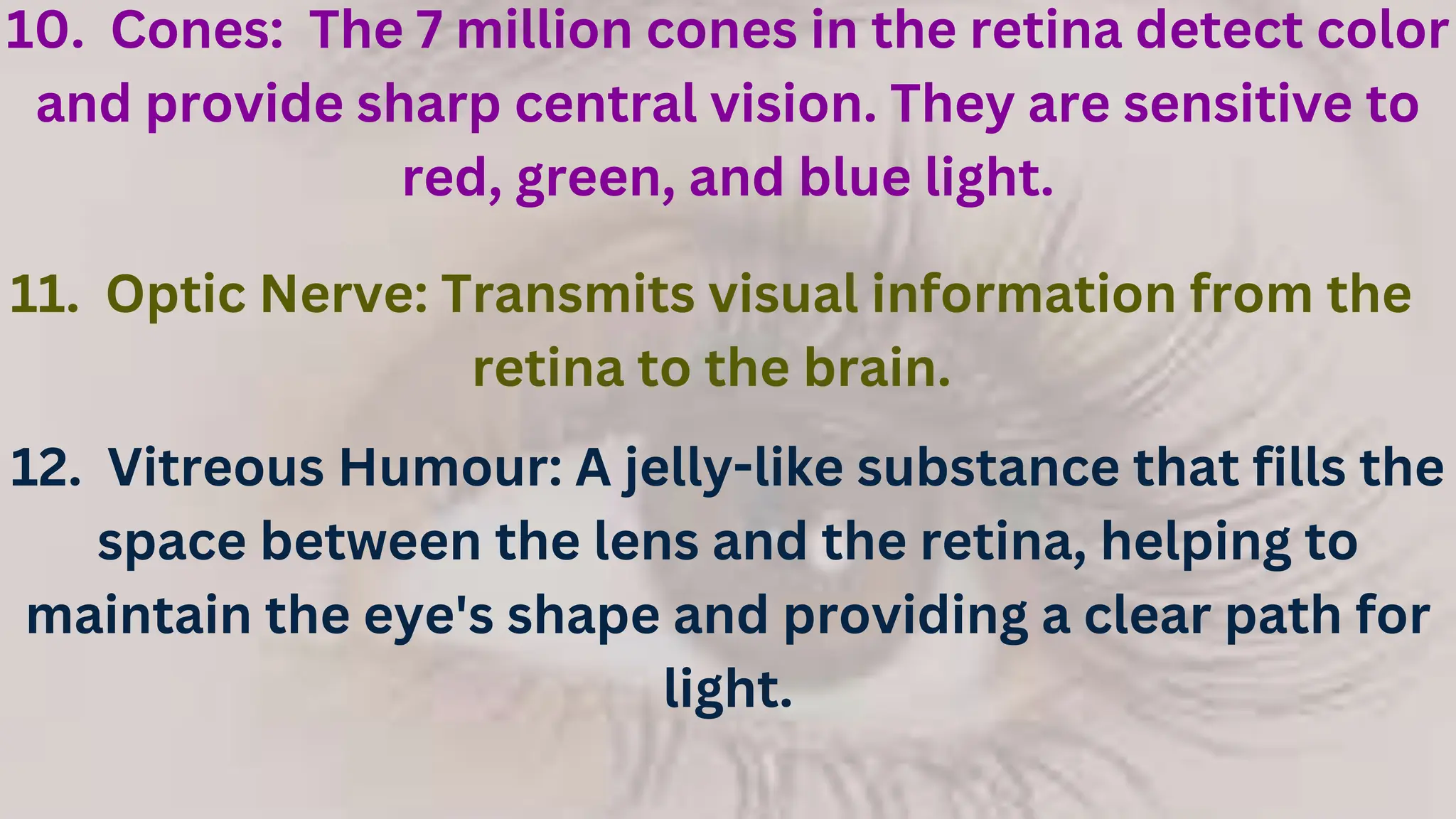 Human eye and colourful world class 10 .pptx | Eye and Vision ...