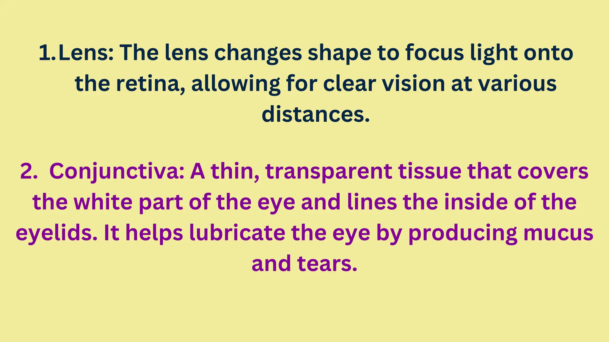 Human eye and colourful world class 10 .pptx