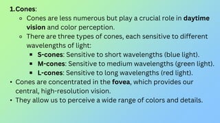 Human eye and colourful world class 10 .pptx