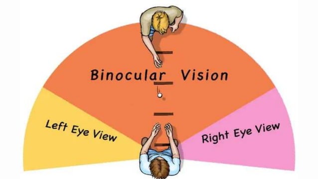 Human eye and colourful world class 10 .pptx | Eye and Vision ...