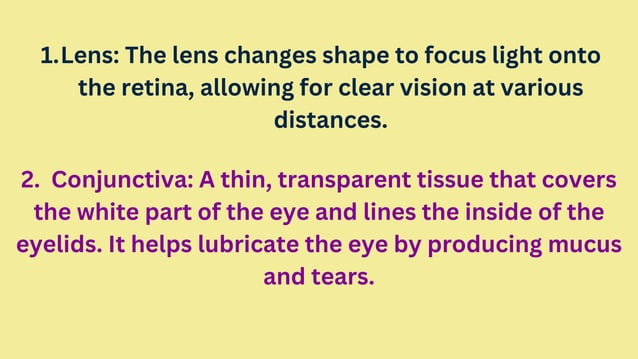 Human eye and colourful world class 10 .pptx | Eye and Vision ...