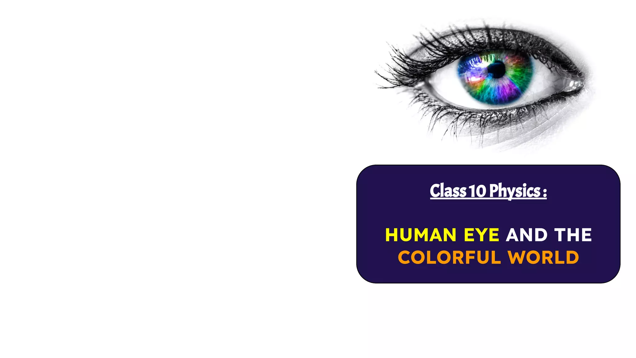 _HUMAN EYE AND THE COLORFUL WORLD (1).ppt