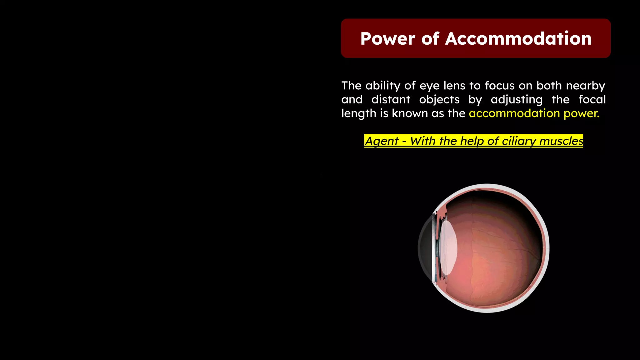 _HUMAN EYE AND THE COLORFUL WORLD (1).ppt