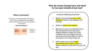 _HUMAN EYE AND THE COLORFUL WORLD (1).ppt