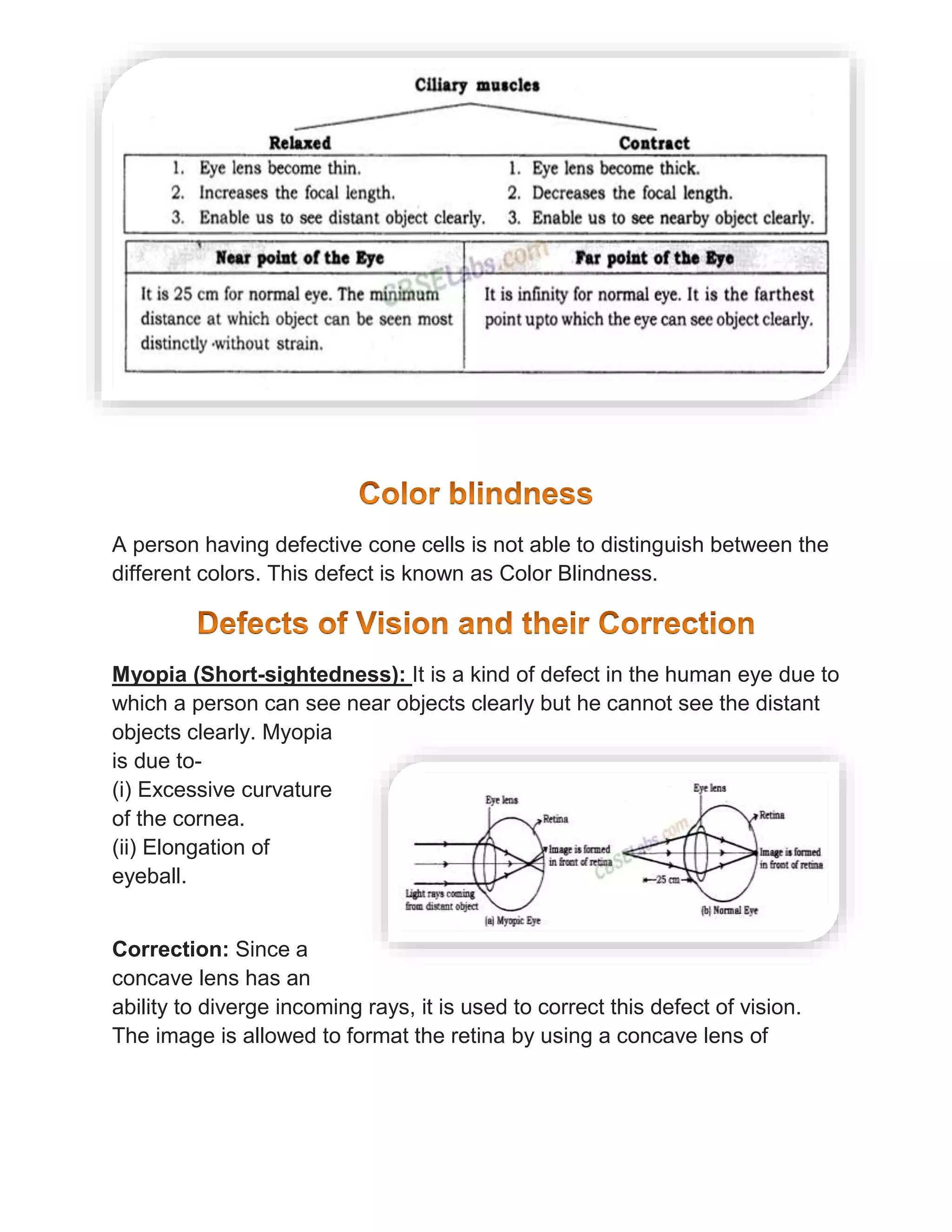Human Eye and the Colorful world notes.docx