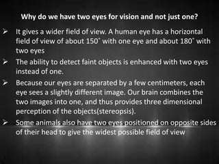 Human eye and the colourful world | PPTX