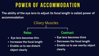 Human Eye and the Colourful World.pdf