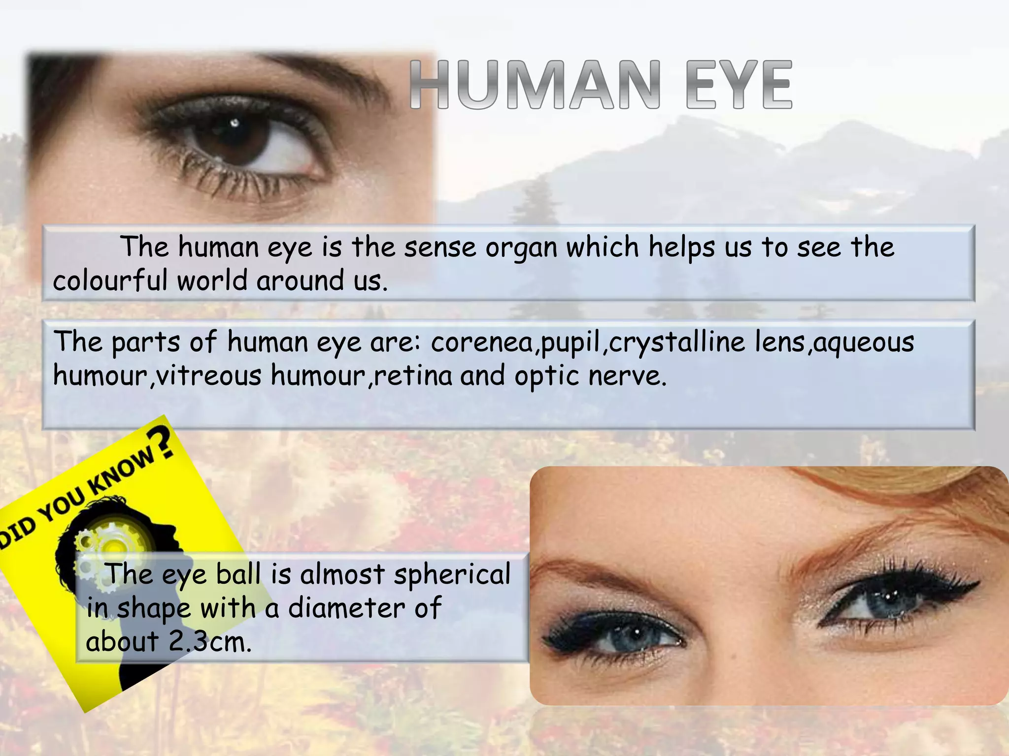Human eye and working of human eye | PPTX
