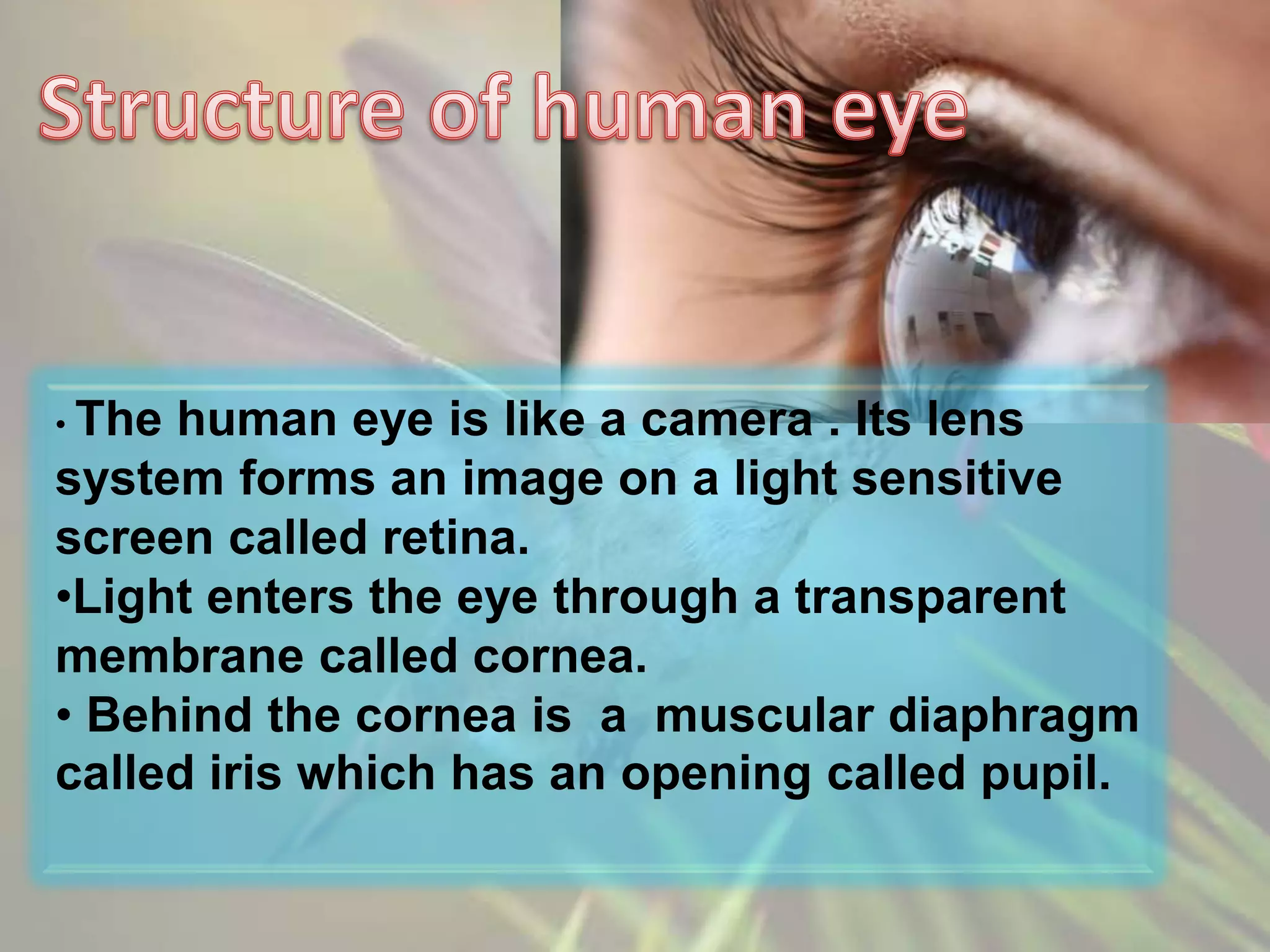 Human eye and working of human eye | PPTX