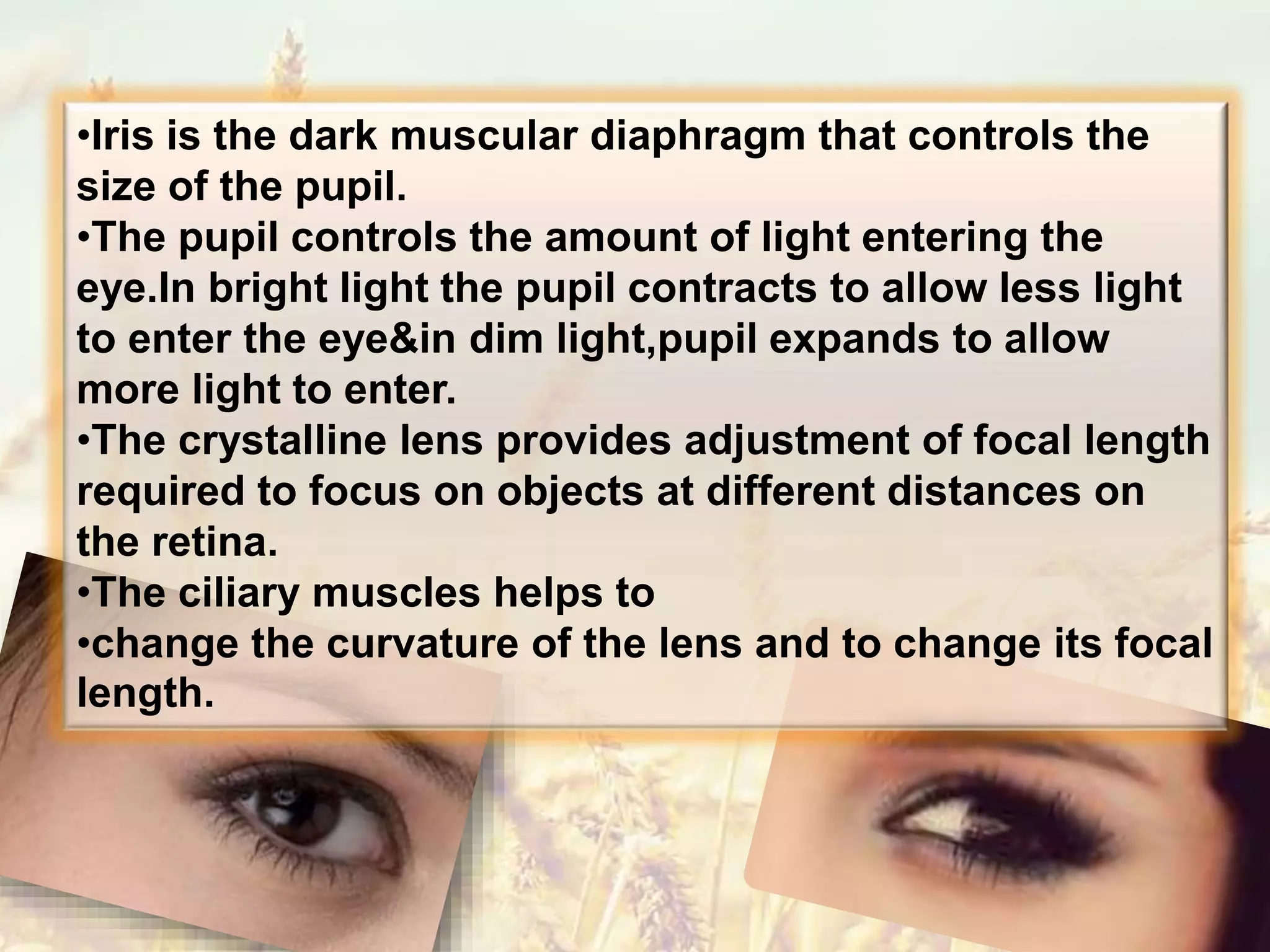 Human eye and working of human eye | PPTX