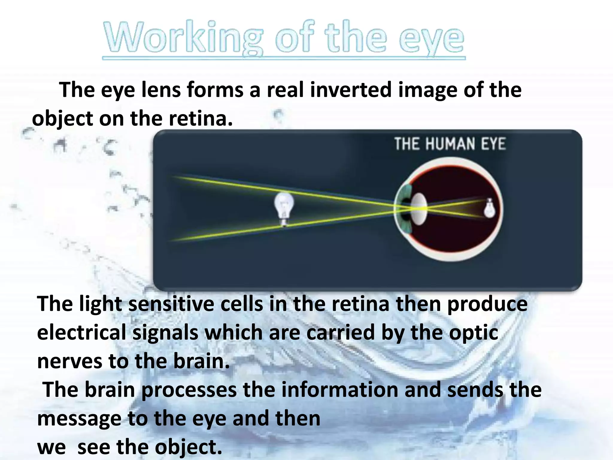 Human eye and working of human eye | PPTX