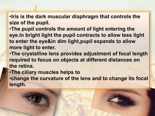 Human eye and working of human eye | PPTX