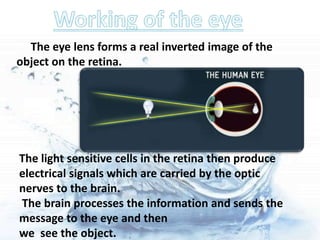 Human eye and working of human eye | PPTX