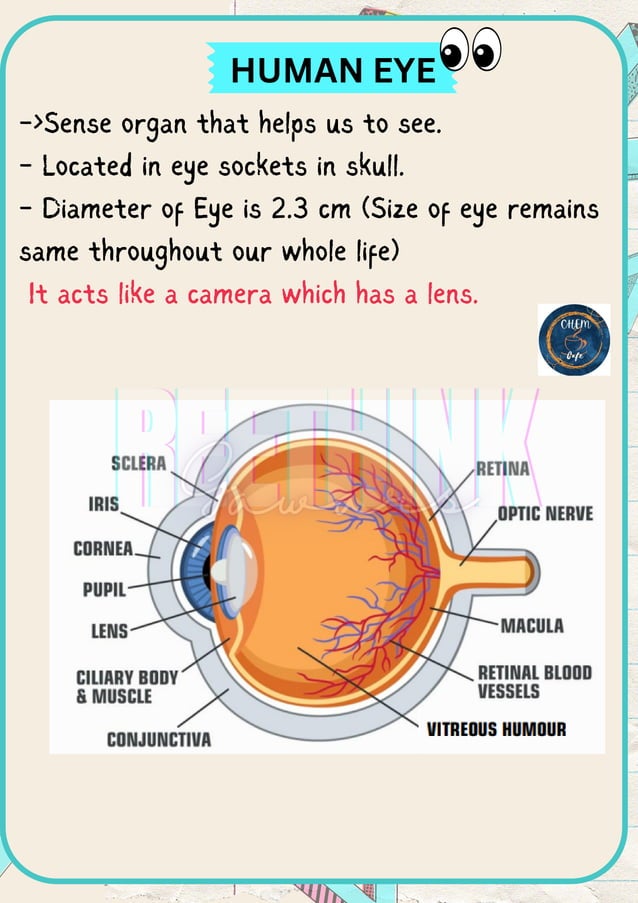 HUMAN EYE By-R.M Class 10 phy best digital notes.pdf